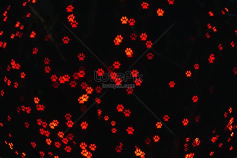 Black Background Pattern Light Spot Background Picture And Hd Photos