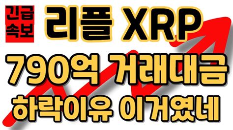 리플 긴급속보 790억 거래대금 하락이유는 이거였네 YouTube