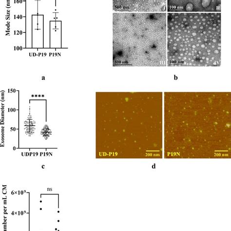 Exosome Characterization Exosomes Purified By Differential