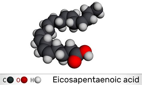 아이코사펜타테노산 Epa 이코사펜테노산 이코사펜트 분자 그것은 오메가3 고도 불포화 긴 사슬 지방산입니다 분자 모델 3d 렌더링