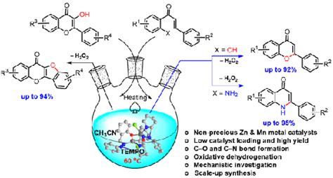 Synthesis X Mol