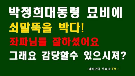 제가 박정희대통령 묘소에 쇠말뚝을 박았습니다 Youtube