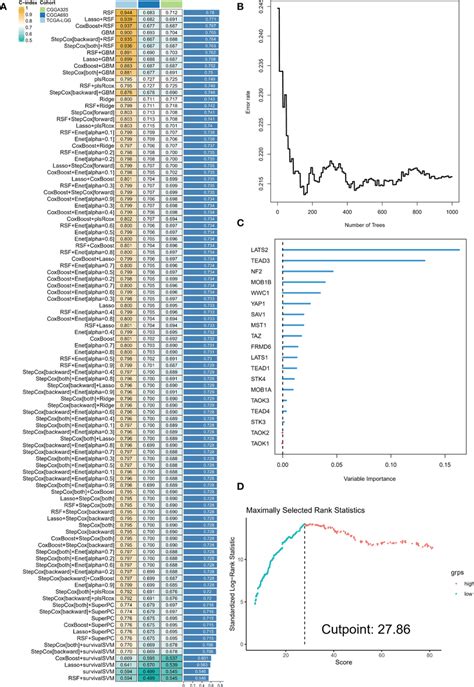 Composite Machine Learning Model Predicts Survival Risk Profiles And Download Scientific