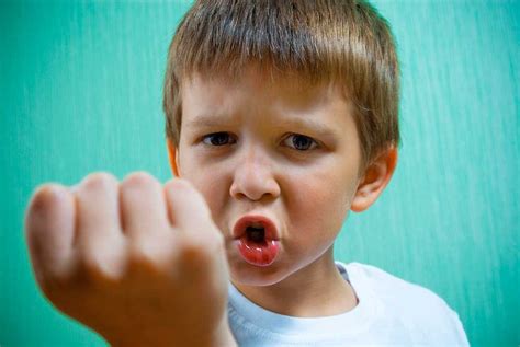 Causas Ocultas De La Agresividad Infantil