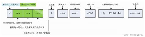【linux权限：系统中的数字锁与安全之门】linux使用超级用户 Csdn博客