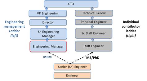Navigating Software Engineering Career Paths Vrogue Co