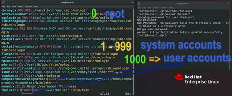 The Etcpasswd File In Linux Explained With Examples