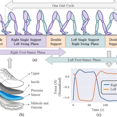 A The Receiver Operating Curve Roc For All The Binary Classification