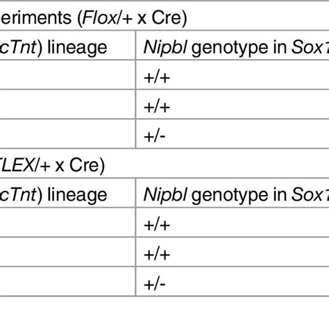 Nipbl Flex And Nipbl Mice Develop Heart Defects At The Same High
