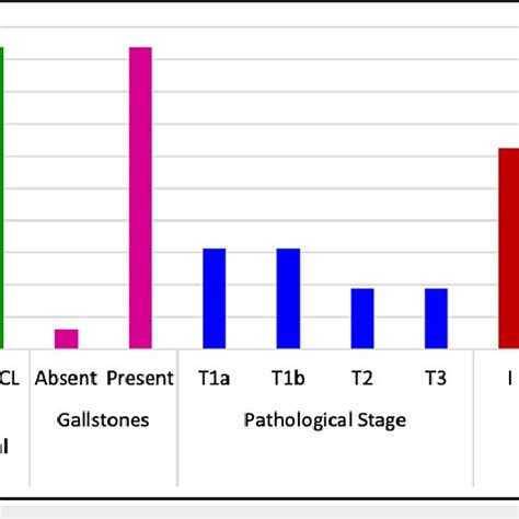 The Clinico Pathological Spectrum Of Cases Of Igbc Igbc Incidental