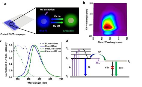 天津大学封伟教授团队在长寿命室温磷光氟氮双掺杂碳量子点领域取得重要进展中国聚合物网科教新闻