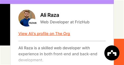 Ali Raza Web Developer At Frizhub The Org