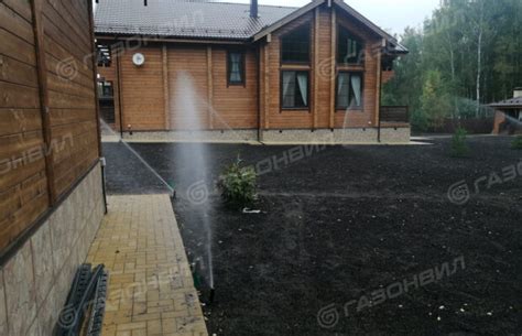 Рулонный газон в Москве | Купить траву для газона по цене производителя
