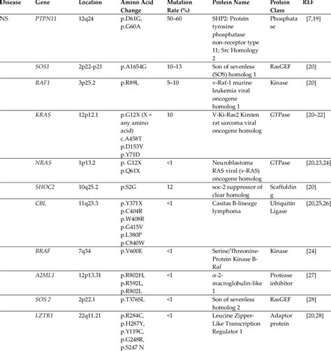 Germline Mutations Of Rasmapk Pathway Responsible For Ns And Nsml