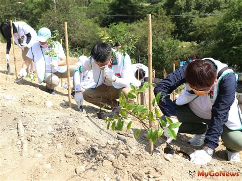 信義房屋獲亞洲永續報告書獎3項大獎 市場快訊 Mygonews買購房地產新聞