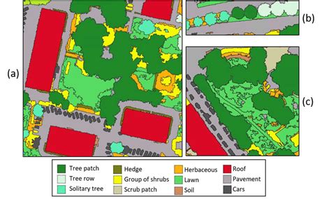 Detailed Classification Of Trees And Shrubs Based On Spatial Download Scientific Diagram