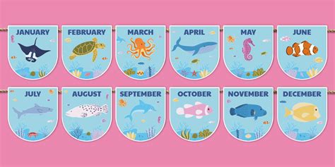 The Great Barrier Reef Themed Our Birthdays Display Bunting