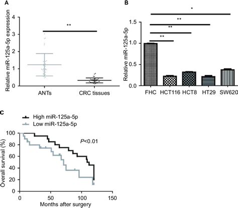Mir 125a 5p Expression Was Low In Crc Tissues And Cell Lines A The