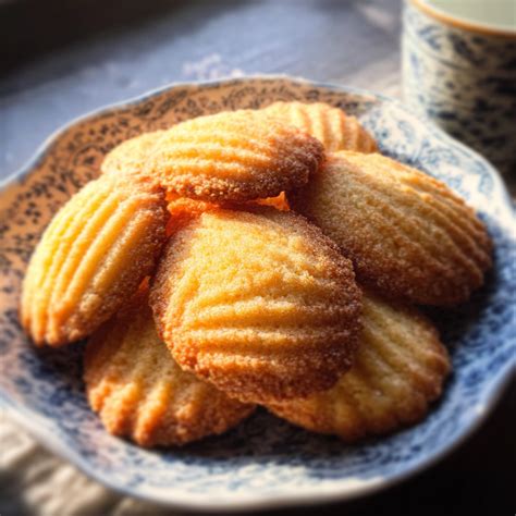 Madeleine Cookies Quick Recipes Ideas