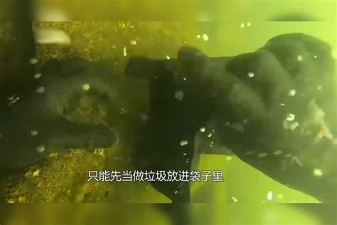 老外水下探险，意外发现古代财宝，打开一看不淡定了财宝探险古代