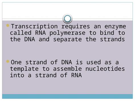 Pptx Rna Transcription The Structure Of Rna Rna Consists Of A Long