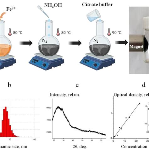 Synthesis Scheme Of Fe 3 O 4 Nanoparticles And The Final Product This