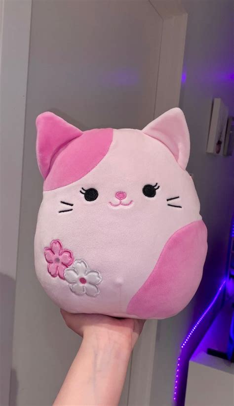 All Things Cute Cool Things To Buy Stuffies Plushies Cat Teddy Bear