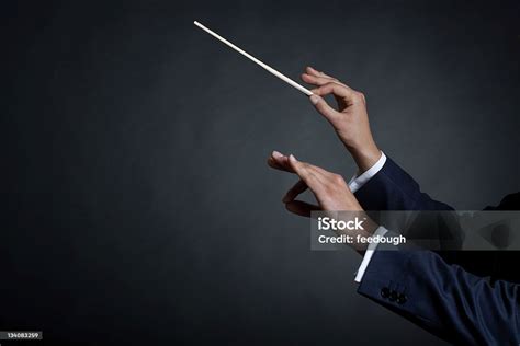 숫나사 오케스트라 감광기 지휘자에 대한 스톡 사진 및 기타 이미지 지휘자 오케스트라 음악 Istock