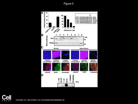 Volume 101 Issue 4 Pages May 2000 Ppt Download