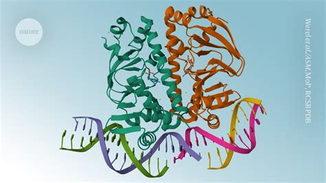 Ai Proteinvorhersagetool Alphafold3 Jetzt Als Open Source Verfügbar