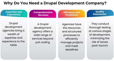How To Hire A Drupal Developer For Your Business