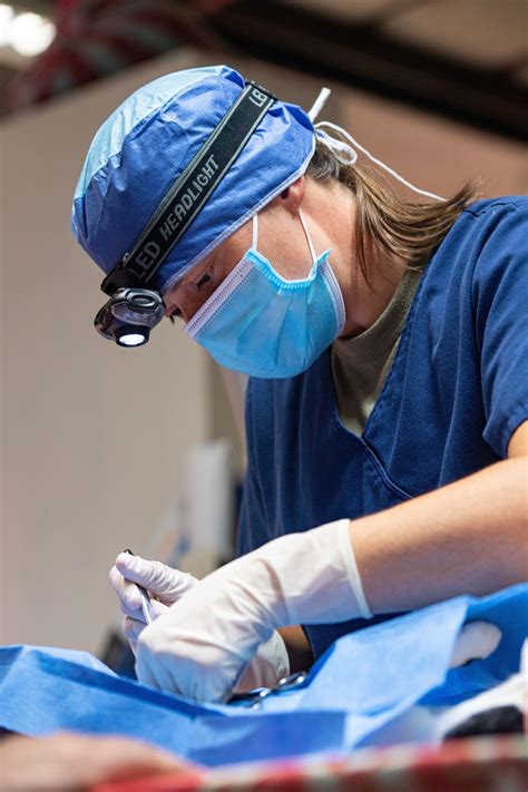 Dvids Images Pacific Partnership 2022 Veterinarians Operate At
