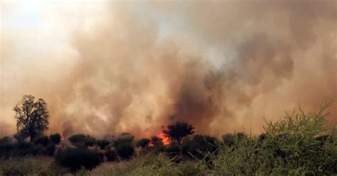 VIDEOS Registran impactantes imágenes de incendio en sector de Curacaví y San Bernardo Pudahuel