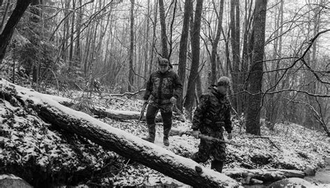 Airgun Hunting A Beginners Guide To Taking Small Game