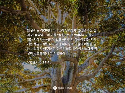 요한일서 511 13 Daily Bible Inspirations