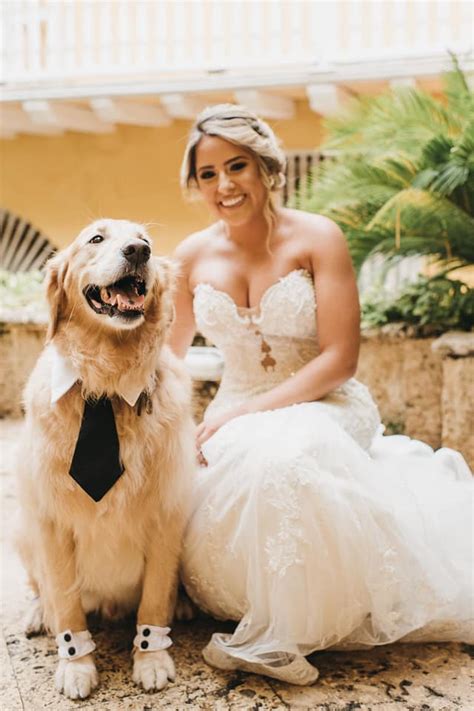 Bride Has First Look With Her Dog And The Pictures Couldnt Be Cuter