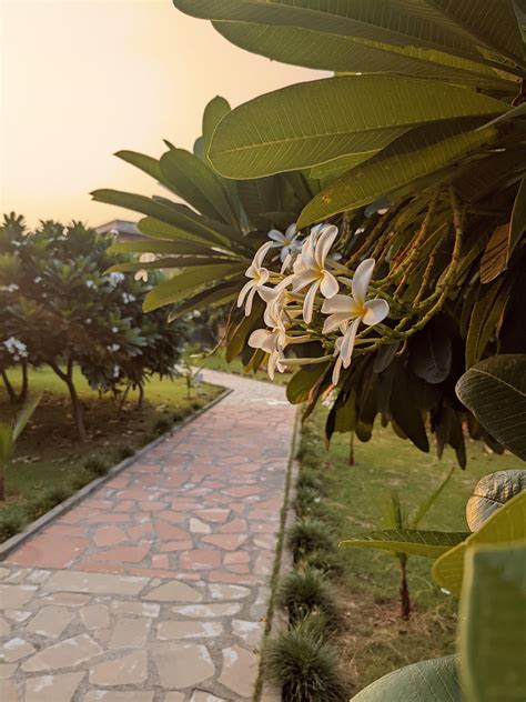 Users Of The Pixel 6 Pro Report Severe Battery Issues With The Final Update Abc Arena R