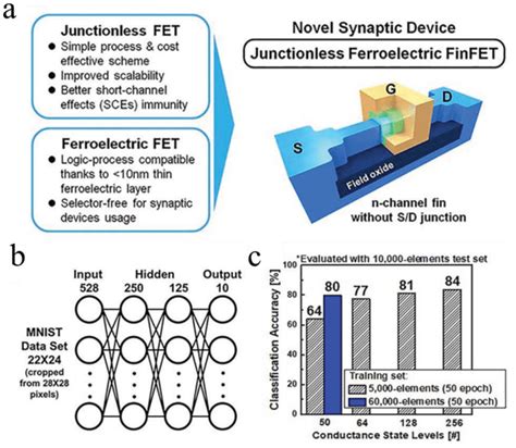 A Device Structure Of A Junctionless Ferroelectric Finfet With Hzo As Download Scientific
