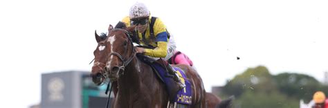 皐月賞2023｜g1特集｜競馬情報ならjra Van