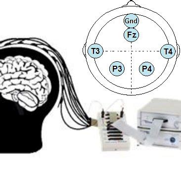 Experimental Setup Screen Participant With Electroencephalography Download Scientific Diagram