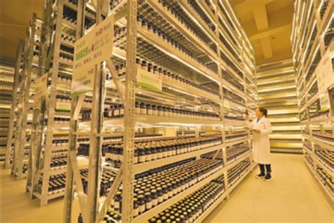 “智慧”土壤 生态修复 土壤改良 新农资360网土壤改良果树种植蔬菜种植种植示范田品牌展播农资微专栏