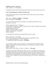 Spectrophotometric Analysis Of Nucleic Acids Data Calculation