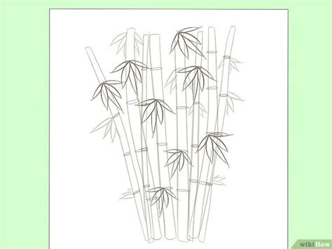 Easy Bamboo Drawing