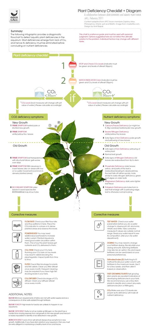 Aquarium Plant Nutrient Deficiency Chart