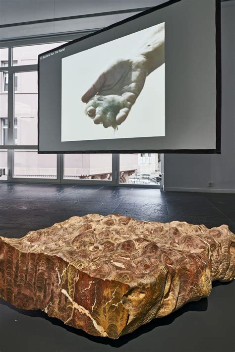 Lynn Margulis And Stromatolites Frankfurter Kunstverein