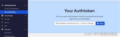 Ngrok内网穿透神器——windowslinux安装教程 Csdn博客