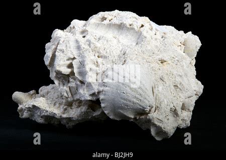 Fossiliferous Limestone Stock Photo Alamy