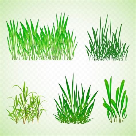 Vecteurs Et Illustrations De Herbe Dessin En Téléchargement Gratuit