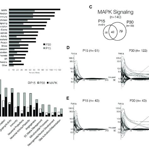 Functional Distribution Of Differentially Expressed Genes And Mapk