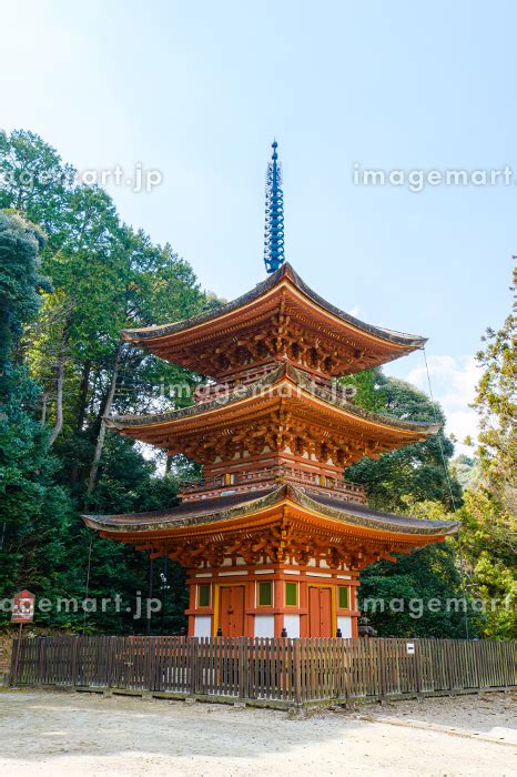 奈良県奈良市 霊山寺 三重塔 2023 03 10撮影 2023 03 10撮影 の写真素材 213269295 イメージマート
